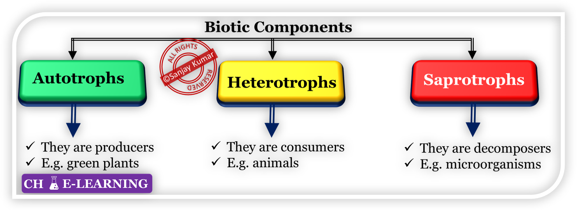 Topic 1.4: Components of Ecosystem – Insight into Chemical Engineering