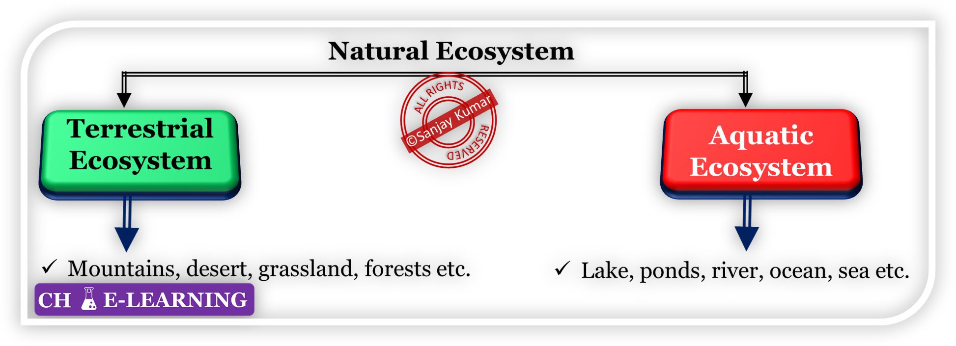 Topic 1.3: Types of Ecosystem - Insight into Chemical Engineering